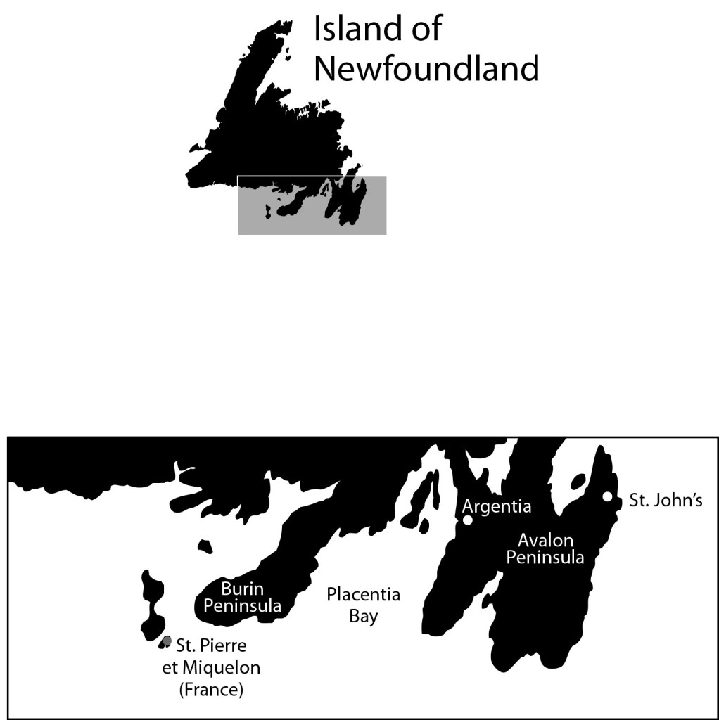 Facts about Newfoundland | Annie Daylon